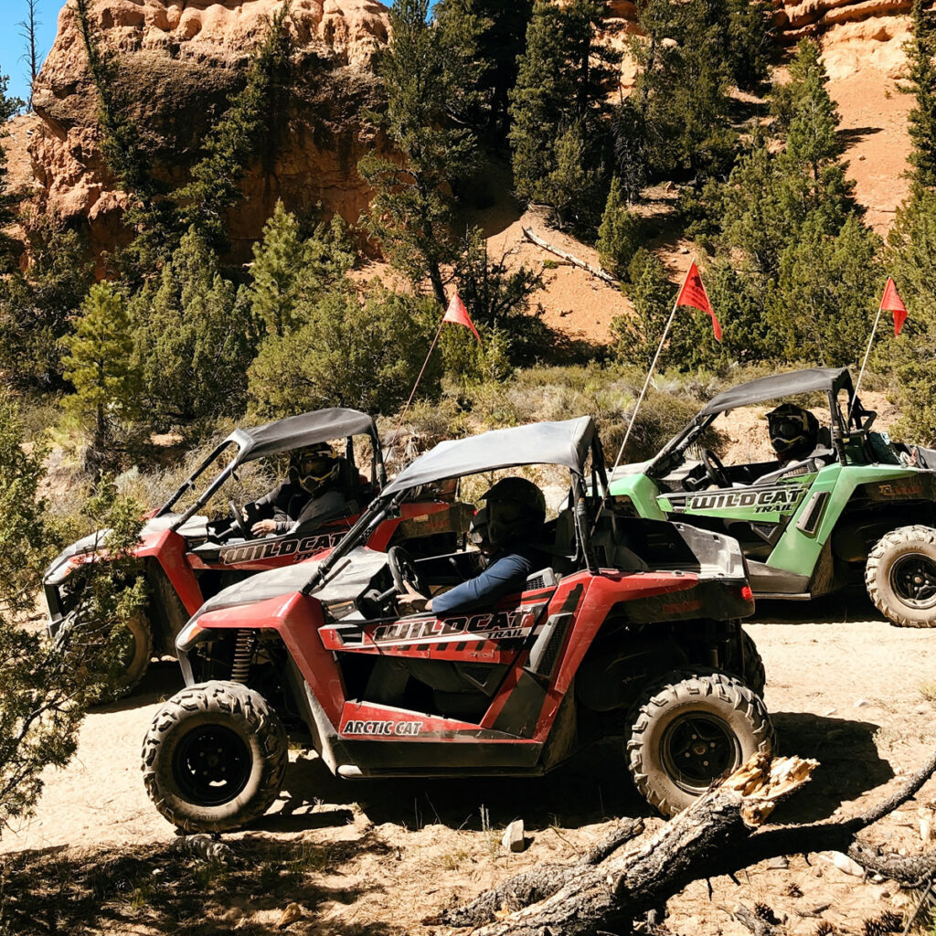 Arctic Cat Wildcat Trail Or Honda Pioneer Trail 50″ UTV